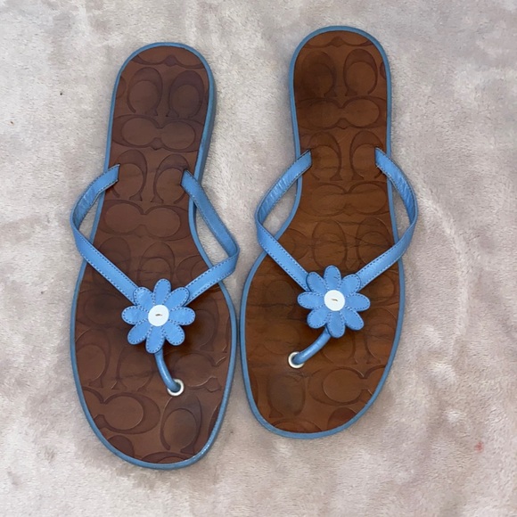 Coach | Shoes | Coach Blue Flower Flip Flop Sandal | Poshmark